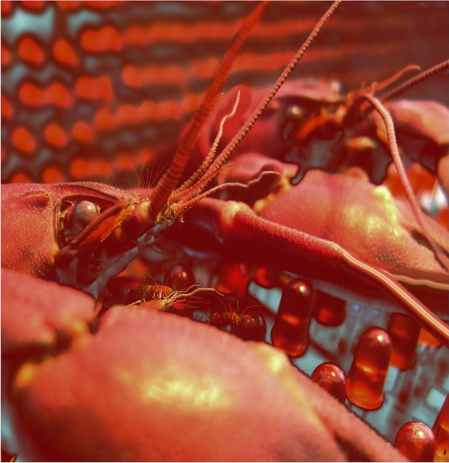 Album Review: Cranium Pie – Mechanisms Part 1 : Silent Radio