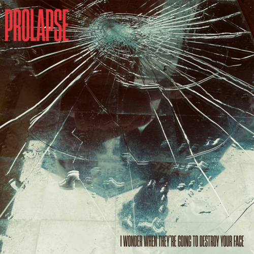 ALBUM REVIEW – PROLAPSE: I WONDER WHEN THEY’RE GOING TO DESTROY YOUR ...